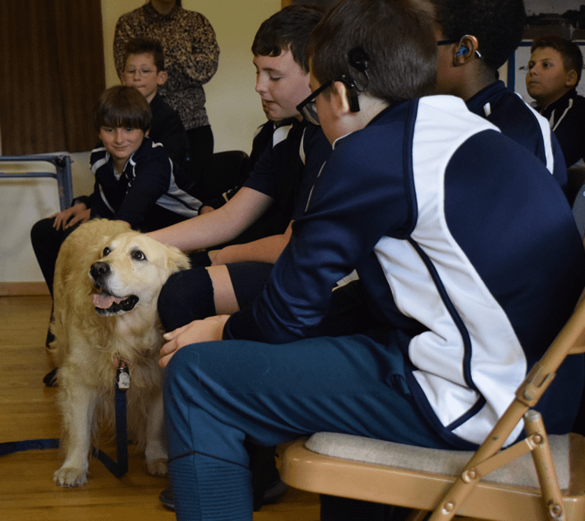 Reading Patron - Knightsfield School